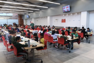 Ohio Chess Association – Promoting Chess in Ohio